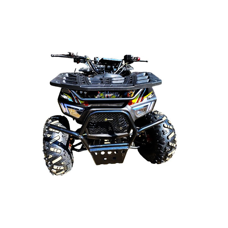 SHOK Odyssey Utilitaire - 60V, 1500W, 20Ah - Ecolectrik